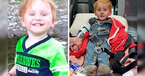 Ryker Webb El Niño De 3 Años Que Desapareció 2 Días En El Bosque Y