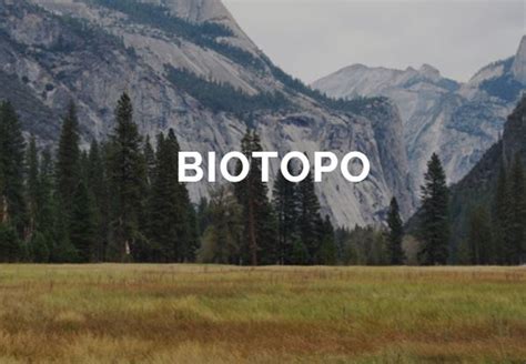 Biotopo Qués Es Tipos Componentes Y Ejemplos Ovacen