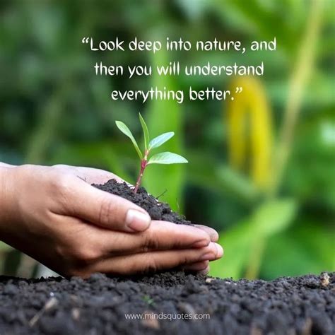 50 Best World Environment Day Quotes And Slogans 5 June 11
