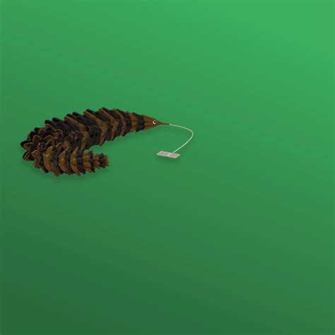 Swayne Swayne Cara Artist Social And Portfolio Platform