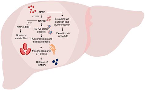 Xia And He Publishing
