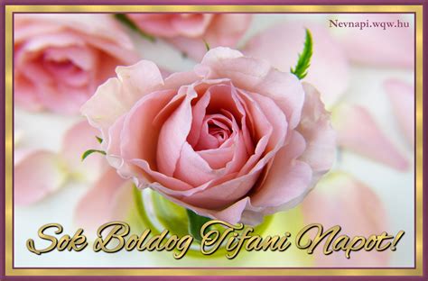 Tifani Névnapi Kép Zenés Névnapi Képeslapok és Képek