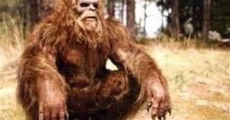 Squach Album On Imgur