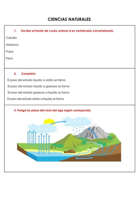 Cuestionario De Ciencias Naturales Worksheet Live Worksheets