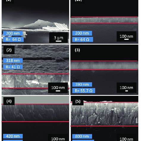Sem Cross Section Micrographs Of Sample S1 1 Test 1 1a Test 1