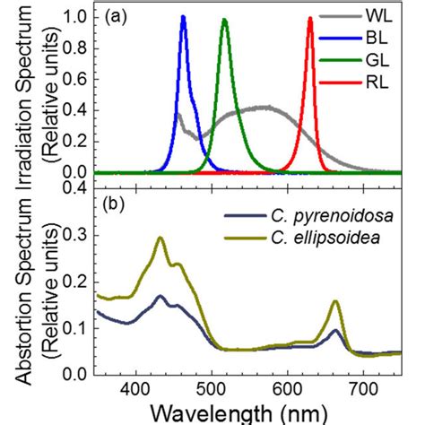 Schematic Diagram Of The Microalgae Biofilm Culture System Download Scientific Diagram