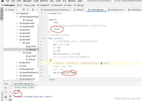 goland中导入包标红但是能用解决办法 goland文件名红色 csdn博客