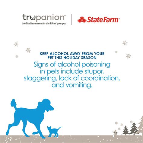 Cheryl Estep State Farm Agent Our Friends At Trupanion Share Some Helpful Reminders To Keep