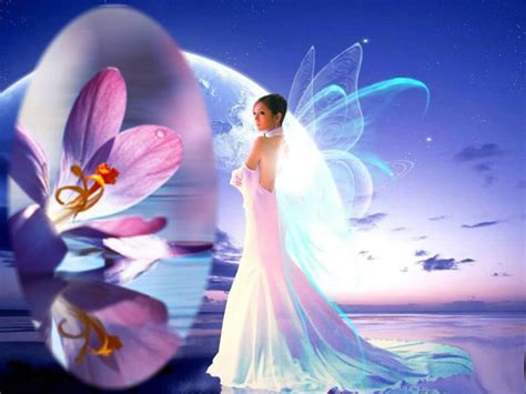 Flower Fairies Wallpapers Top Free Flower Fairies Backgrounds