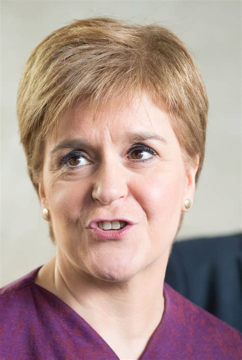 Snp Expected To Gain 11 Mps And Scoop 46 Seats In General Election