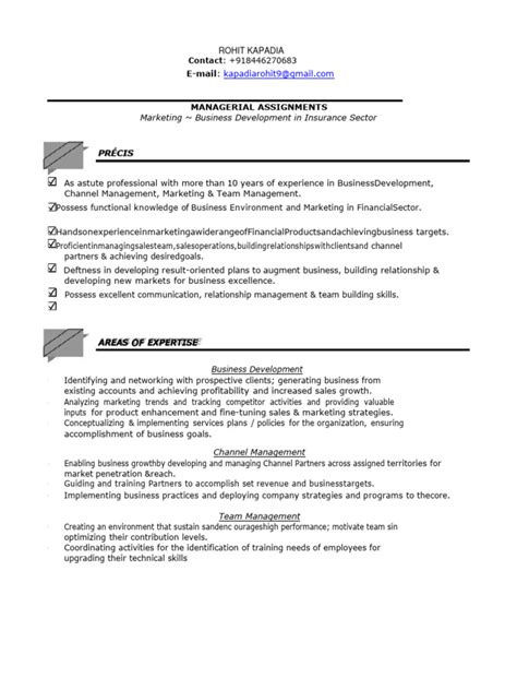 Insurance Marketing Expert Profile Pdf Marketing Sales