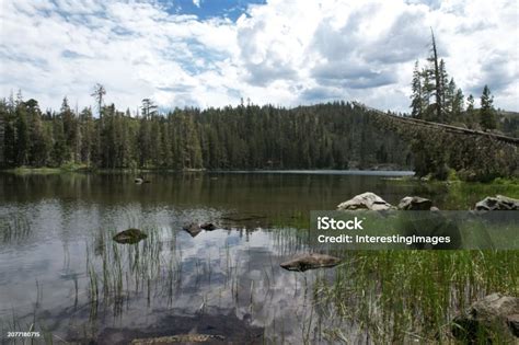 Aerial View Of Gold Lake At Eureka Plumas Forest Lake Basin California
