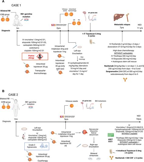 A Icrb International Classification Of Retinoblastoma Iv