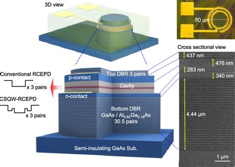 3d Schematic Illustration Top View Microscope Image And Cross