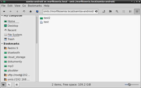 Konfiguracja Cifssmbsamba Pod Debian Linux Smbdavahimdnsgvfs Morfitronik