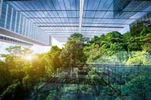Embedding Sustainability Into Practice The Cpa Journal