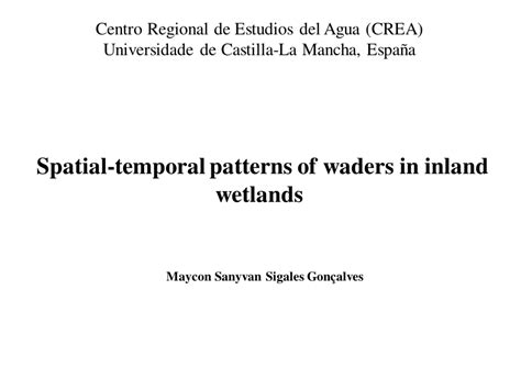 Pdf Spatial Temporal Patterns Of Waders In Inland Wetlands