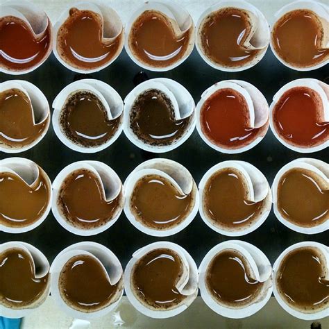 Lawn And Garden Soil Samples Soil Plant And Pest Center