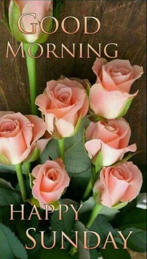 Happy Sunday Flowers