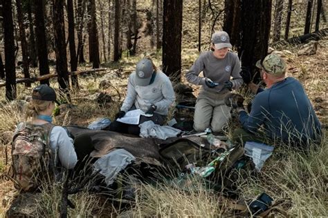 Mexican Wolf Reintroduction Arizona Wildlife Conservation Strategy