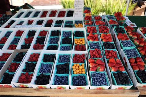Montrose Farmers Market Updated January 2025 168 Photos And 52