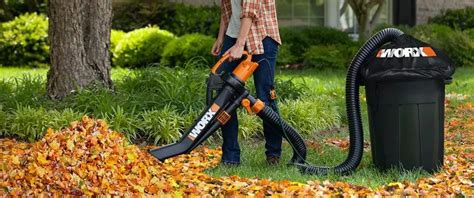 7 Ways To Use A Leaf Blower