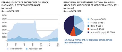 Thon Rouge Guide Des Espèces