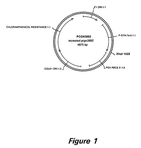Fatty Acid Biosynthesis Patented Technology Retrieval Search Results
