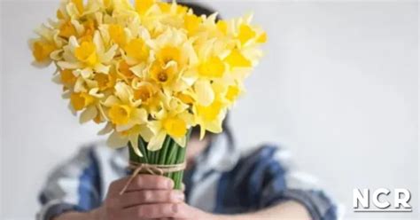 ¿por Qué Se Regalan Flores Amarillas El 21 De Septiembre Ncr