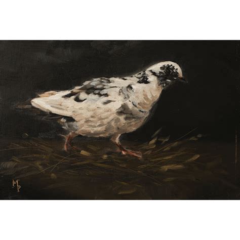 17 Stories Tarrence V Uk