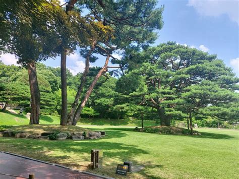 청와대 정치 시사 에펨코리아