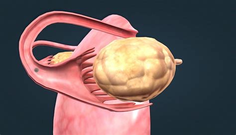 Page 2 200 Labia Pictures