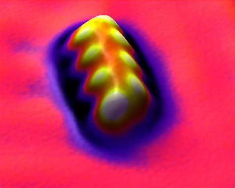 Pin On The Quantum Realm