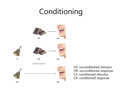 휴먼 감성인지데이터 분석방법론 Learning And Memory Part 2 담당교수 홍우평 Ppt Download