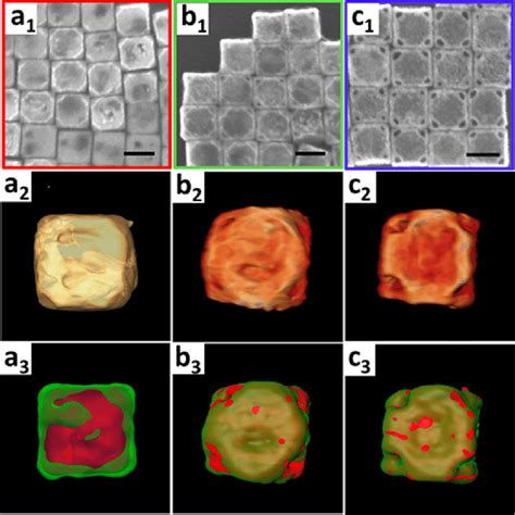 Morphology And Chemical Composition Characterizations Of The Products