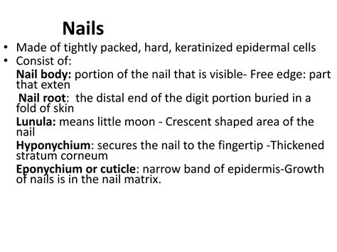 Comparative Anatomy Integumentary System Pptx