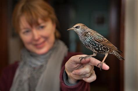 Lyanda Lynn Haupt Naturalista Estamos Conectados A Lugares Y