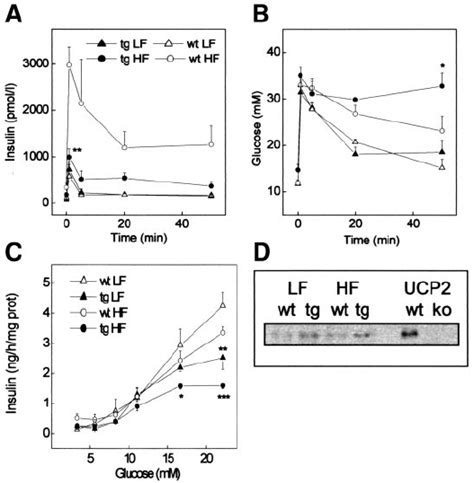 Phenotypic Characterization Of An Additional Hsl Transgenic Mouse Line