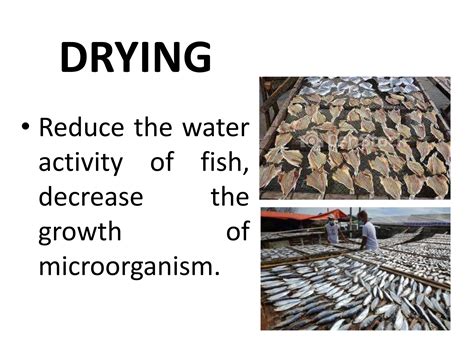 Tve 7 Food Fish Processing Procedurepptx