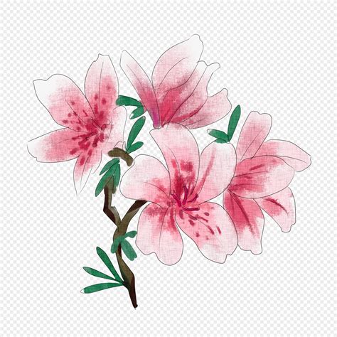 진달래 이미지 사진 401484025 무료 다운로드