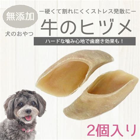 牛のヒヅメ ナチュラル【2個】袋入り【宅配便発送】天然素材 個包装無し ひづめ 犬用 蹄 ズンズンペットサプライ Proストア 通販