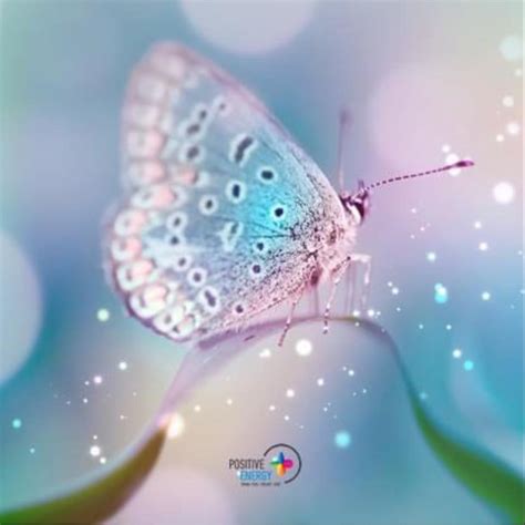 Teri Eidson And Nicole Mccallister Good Morning America Facebook