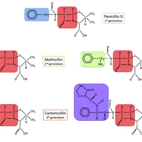 Pdf Penicillins Discovery And Antibiotic Resistance Lessons For The