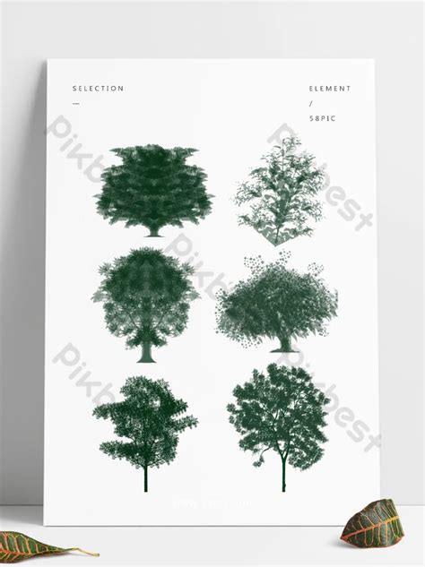 Facade Tree Png Images Psd Free Download Pikbest