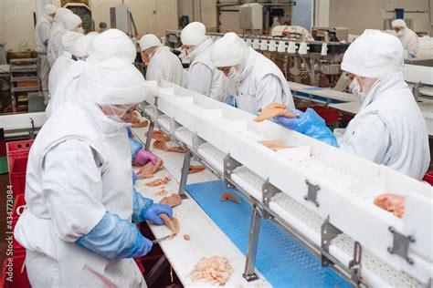 Modern Food Assembly Line