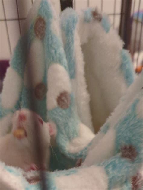 Cheerio Thief Scrolller