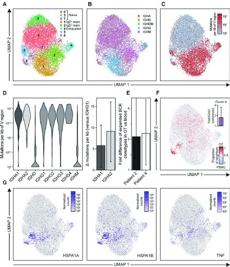 Single Cell Rna Sequencing Scrna Seq Of Peripheral And Download