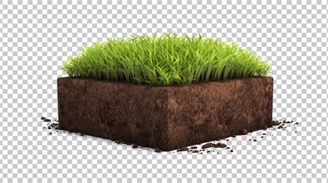 Premium Psd Green Grass Cut Png