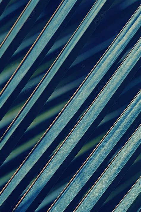 Green Coconut Leaf Pattern Leaf Coconut Palm Tree Striped Photo
