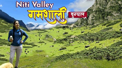 Niti Valley Gamshali Bugyal Trek Last Village Of India Niti